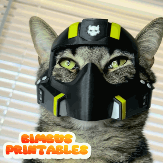 HellCat Bimbus Helmet [Physical Product] – BimbusPrintables